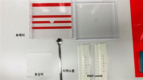 아가로스 겔 Agarose Gel 만들기 Genomic Pub
