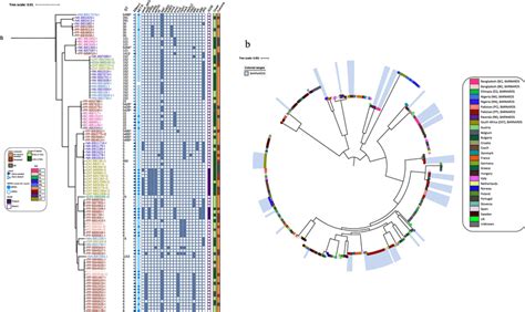 Core Genome Phylogenetic Analysis Of Staphylococcus Aureus Including A