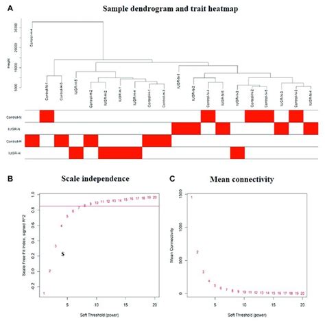 Sample Dendrogram And Trait Heatmap And The Estimation Of Soft Download Scientific Diagram