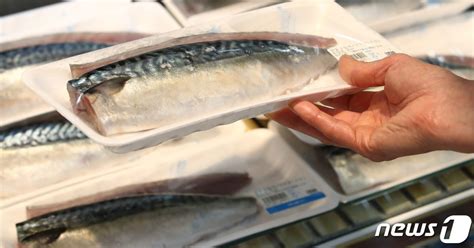 한 달째 오르는 고등어 가격