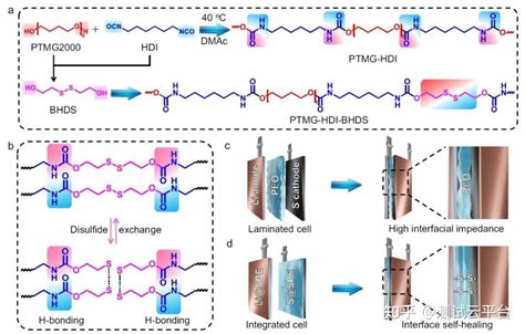 华科nature子刊：自修复聚合物电解质助力长寿命固态锂硫电池 知乎