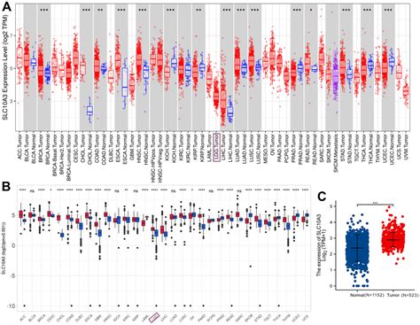 The Prognostic Significance And Immune Correlation Of Slc10a3 In Low Grade Gliomas Revealed By