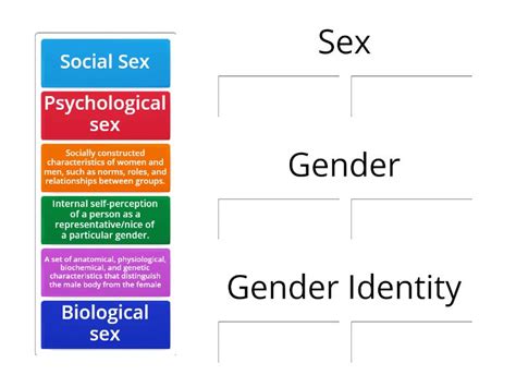 Sex Gender Or Gender Identity Group Sort