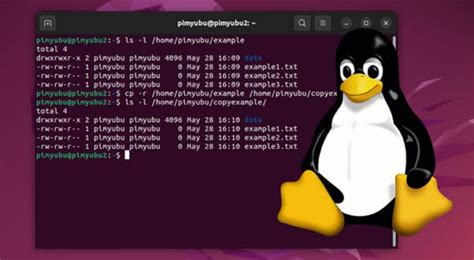 How To Copy And Paste In The Ubuntu Terminal Pi My Life Up