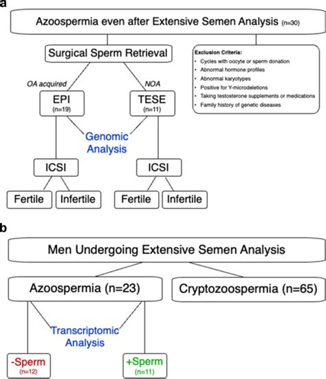 无精子症男性的基因分析以确定病因并预测生殖潜力 Journal of Assisted Reproduction and Genetics
