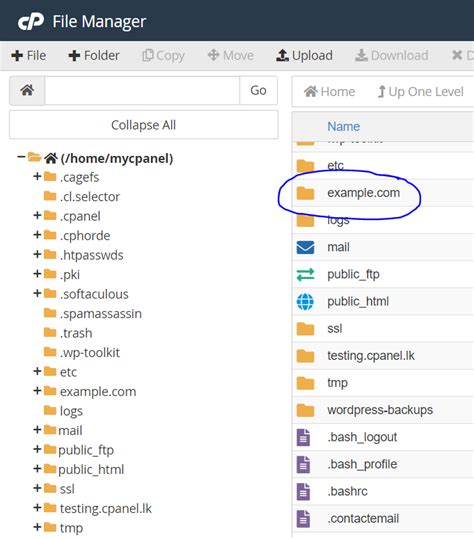 how to add another separate domain cpanel and whm learning knowledge base