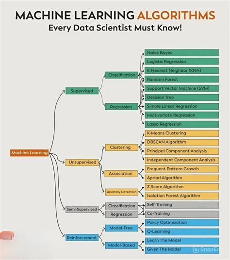 🔥 𝐓𝐨𝐩 𝐌𝐚𝐜𝐡𝐢𝐧𝐞 𝐋𝐞𝐚𝐫𝐧𝐢𝐧𝐠 𝐀𝐥𝐠𝐨𝐫𝐢𝐭𝐡𝐦𝐬 𝐄𝐯𝐞𝐫𝐲 𝐃𝐚𝐭𝐚 𝐒𝐜𝐢𝐞𝐧𝐭𝐢𝐬𝐭 𝐒𝐡𝐨𝐮𝐥𝐝 𝐊𝐧𝐨𝐰