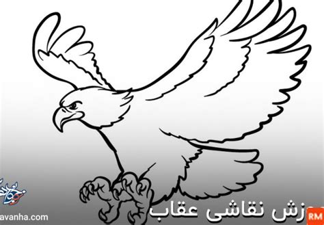 عکس فیلم نقاشی عقاب