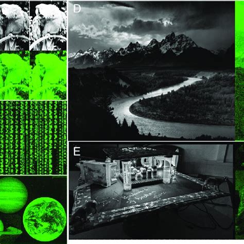 Dna Painting With Fluorescently Labelled Single Stranded Download