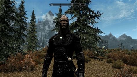 Skyrim Best Looking Assassin Armor Adamspeace