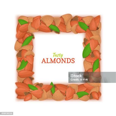 맛 있는 아몬드 너트 사각형 프레임 구성 됩니다 벡터 카드 그림입니다 너트 프레임 셸에서 아몬드 과일 포장 디자인 식품 아이스크림 해독 화장품 크림에 대 한에 대 한 전체