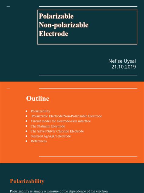 Polarizable Nonpolarizable Electrode Pdf Electrode Silver
