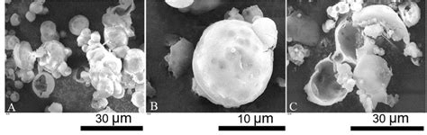 Sem Micrographs Overview Of Singleclusters Of Microcapsules A
