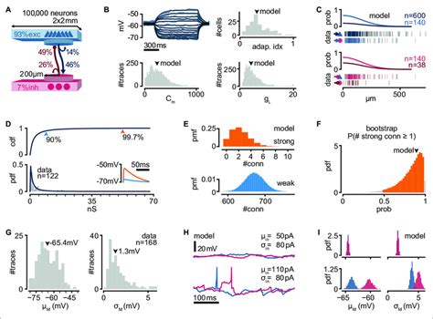 A Biologically Inspired Model Of Turtle Visual Cortex A Schematic Of