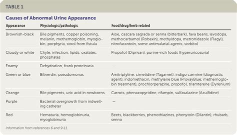 Office Based Urinalysis A Comprehensive Review Aafp