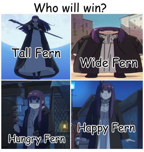 Who Is The Strongest Fern In Frieren R Animemes