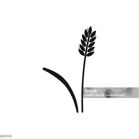 밀 귀 보리 또는 쌀 검은 실루엣 맥주 또는 베이커리 로고 격리 된 요소 라벨 및 엠블럼에 대 한 유기농 농장 요소 빵 포장 장식 개체 익은 작은 이삭 벡터 일러스트 레이