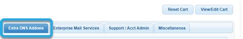 How To Purchase Additional DNS Services And Add Ons