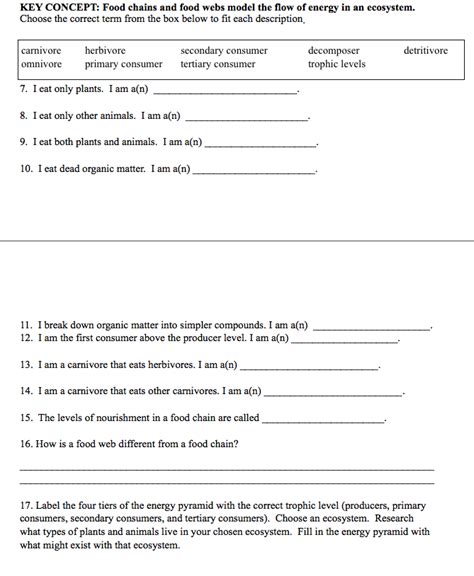 Food Chain Trophic Levels Worksheet Answers
