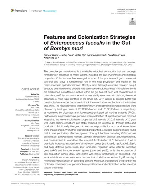 Pdf Features And Colonization Strategies Of Enterococcus Faecalis In