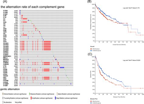 Genetic Mutations Of Complement Genes And Their Association With Os And