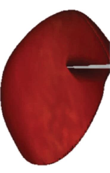 Cutting Process Simulation A B Scalpel Penetrating Into Soft Tissue Download Scientific