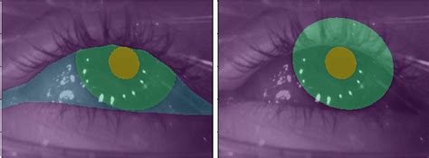 Figure From EllSeg An Ellipse Segmentation Framework For Robust Gaze Tracking Semantic Scholar
