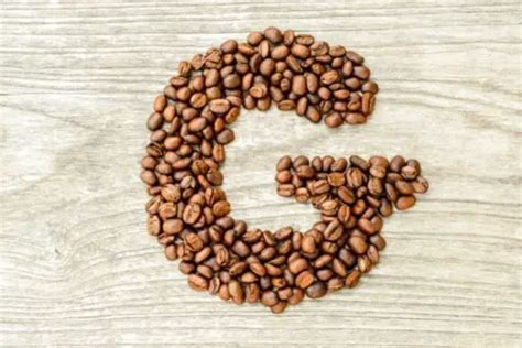 600 Objects That Start With E Household Items Clothing And More