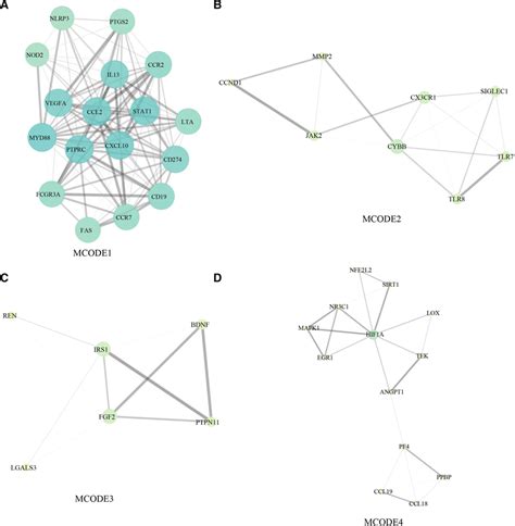 Module Based Network Of Cad A Mcode1 B Mcode2 C Mcode3 D