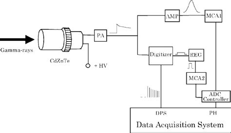 Schematic Diagram Of The Digital Analog Hybrid Signal Processing System