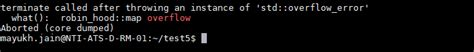 Terminate Called After Throwing An Instance Of Stdoverflowerror