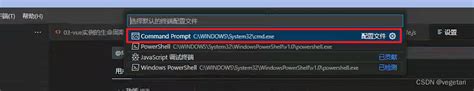 Vscode 配置cmd 终端vscode以管理员身份运行终端 Csdn博客