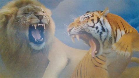 Boruch Perlowitz Presents Nachman Seltzer The Edge Mostly Music