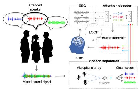 The Bright Future Of Attention Decoding Using Bci For Smarter Hearing Aids Mbraintrain