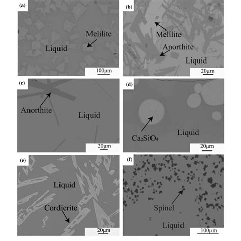 Typical Microstructures Of The Quenched Samples Showing The Equilibrium