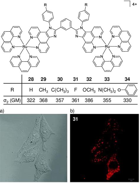 Chemical Structures And Two Photon Absorption Cross Sections At 830 Nm Download Scientific
