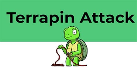 Nearly 11 Million Ssh Servers Vulnerable To Terrapin Attacks Infosecbulletin