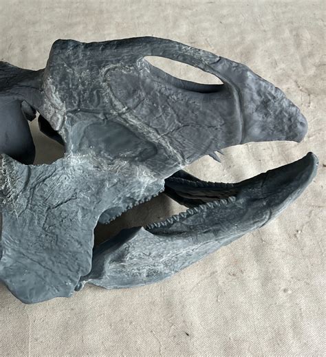 Protoceratops Project Paleo Re Creations The Fossil Forum