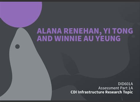 Cdi Infrastructure Research Project On Behance