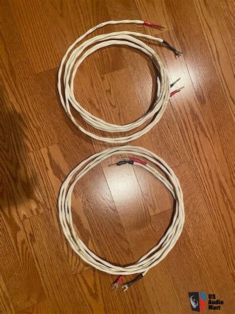 Tar Labs Space And Time Phase Ii 8 Speaker Cables Wbanana Plug And U