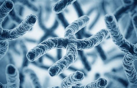 Copy Number Variation Cnv Analysis Ngs And Array Methods