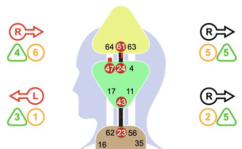 Are You Meant To Operate In Feminine Or Masculine Energy Understand The Variables The Human