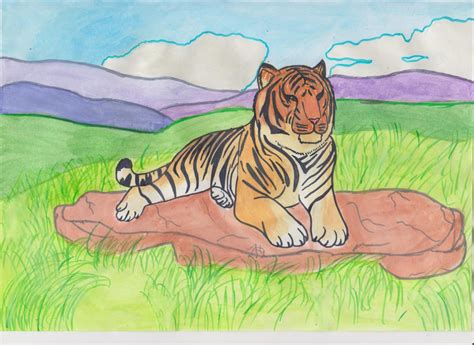 Животные из красной книги рисунки карандашом 13 фото