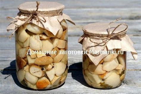 Маринованные белые грибы на зиму в банках Грибы Маринованные грибы Рецепты