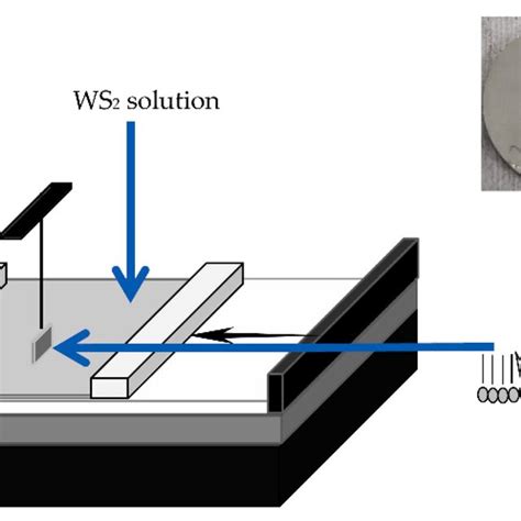 The Reflectance Spectrum Of The Reflective Ws2 Saturable Absorber Download Scientific Diagram