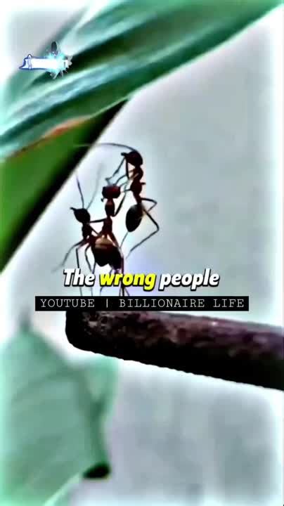 Saurav Kumar On Linkedin Cybersecurity Cybersecurityengineer Freecourses