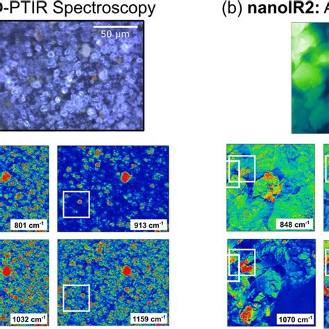 Comparison Of Spatial Heterogeneity Detected In Arizona Test Dust Download Scientific Diagram