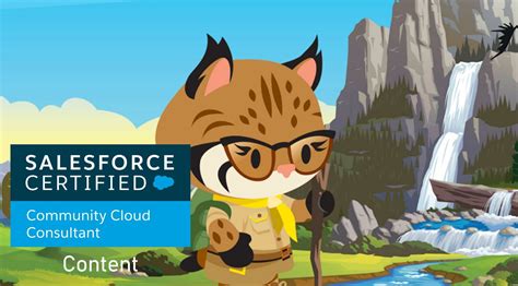 Salesforce Community Cloud Consultant Exam Preparation Content