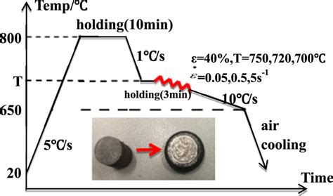 Schematic Illustration Of Warm Compression Experiments Download Scientific Diagram