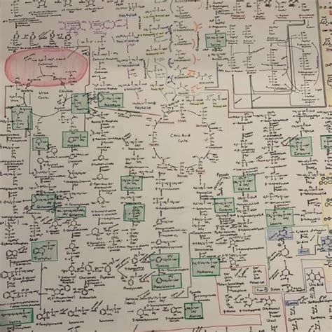 Star Classes 🌟 Youtube